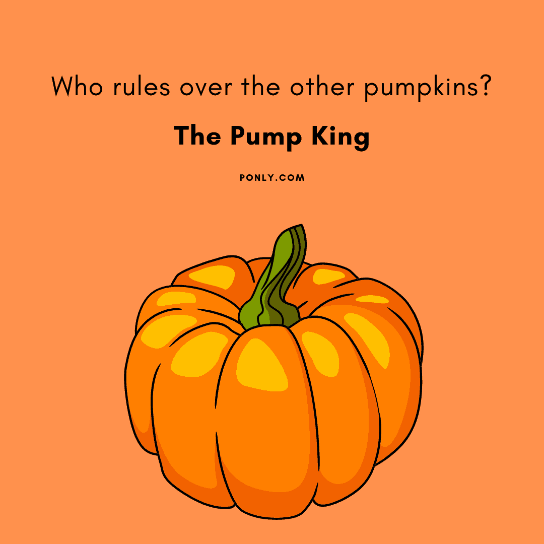 101 Perfect Pumpkin Puns And Very Gourd Jokes [2022]